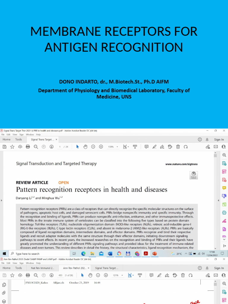 11 Membrane Receptors For Antigen Recognition Compressed Pdf