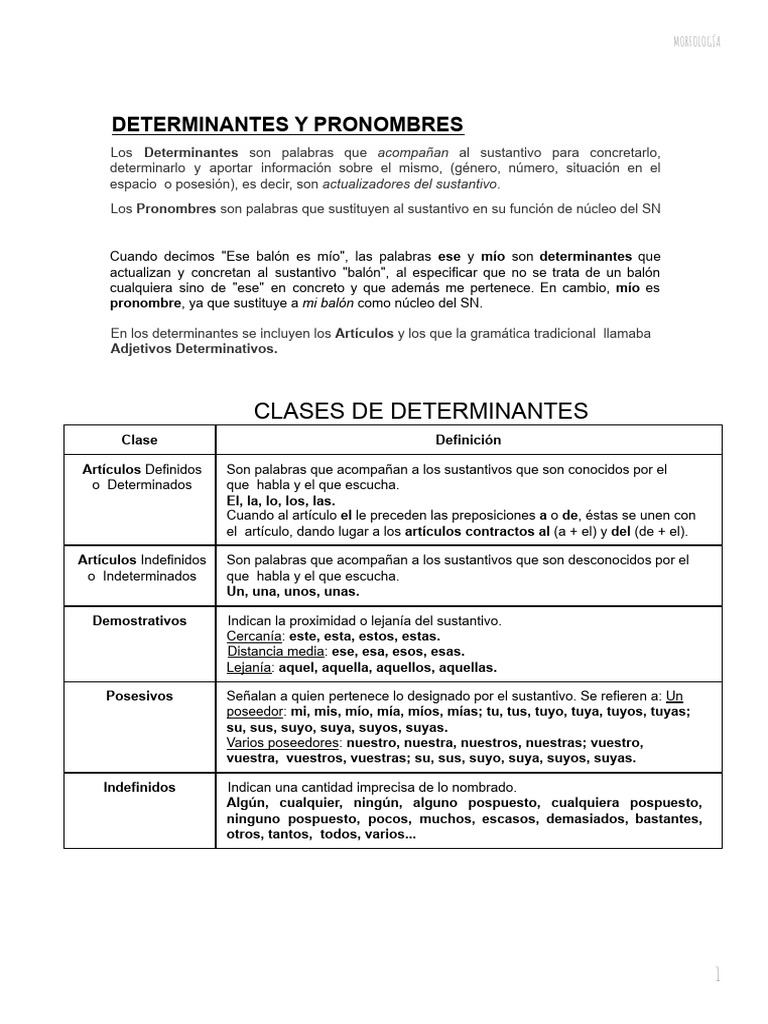 8 Determinantes y Pronombres | PDF | Lingüística | Artes del Lenguaje y ...