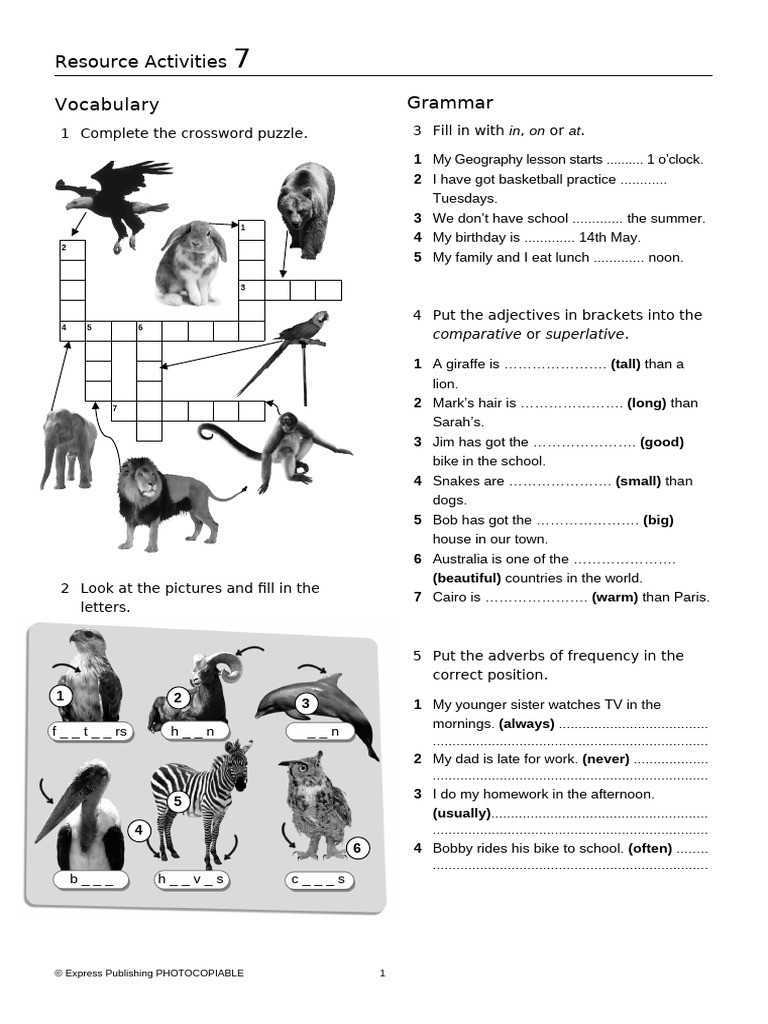 22 Excel Gr5 Resource 7 | PDF | Birds