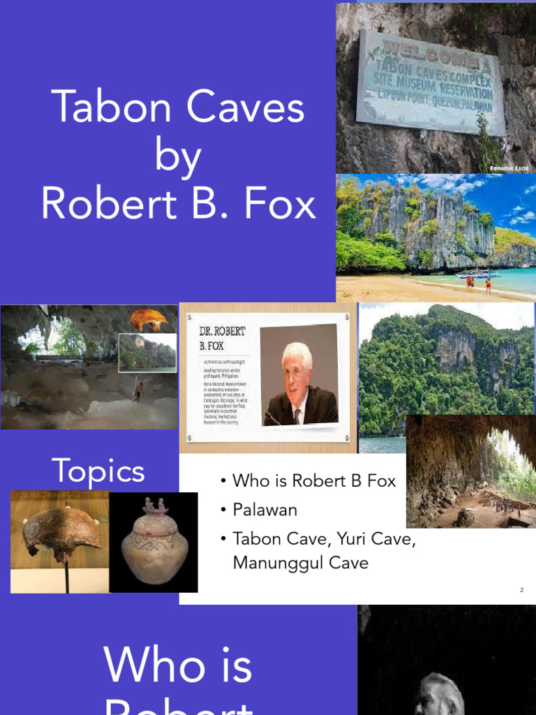 Lesson 4 Tabon Caves | PDF