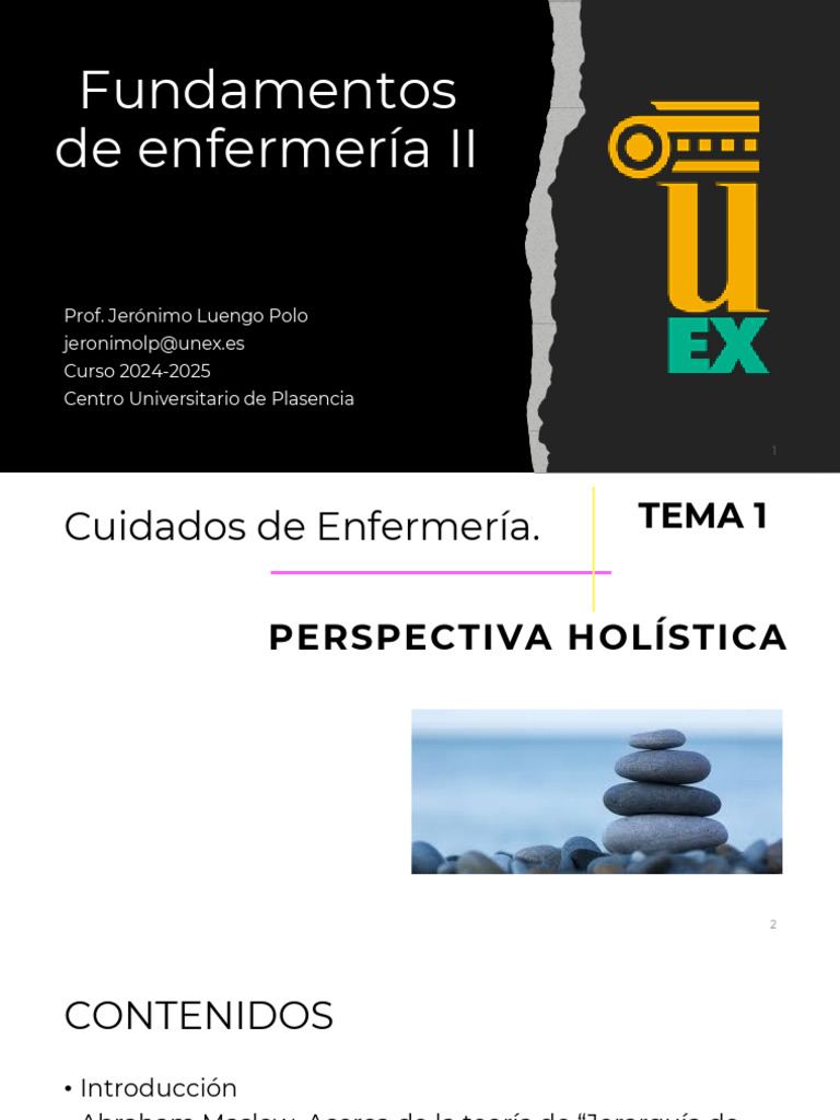 Tema 1 Cuidados Enfermeria Perspectiva Holistica | PDF
