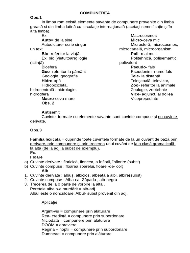 COMPUNEREA Savanta | PDF