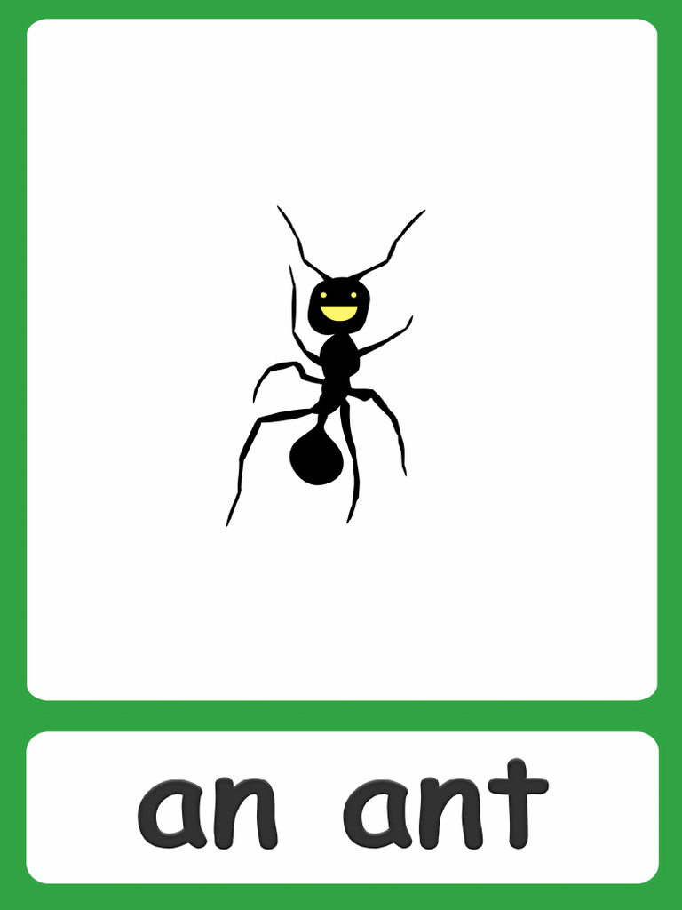 PACK 2 Bugs Flashcards | PDF