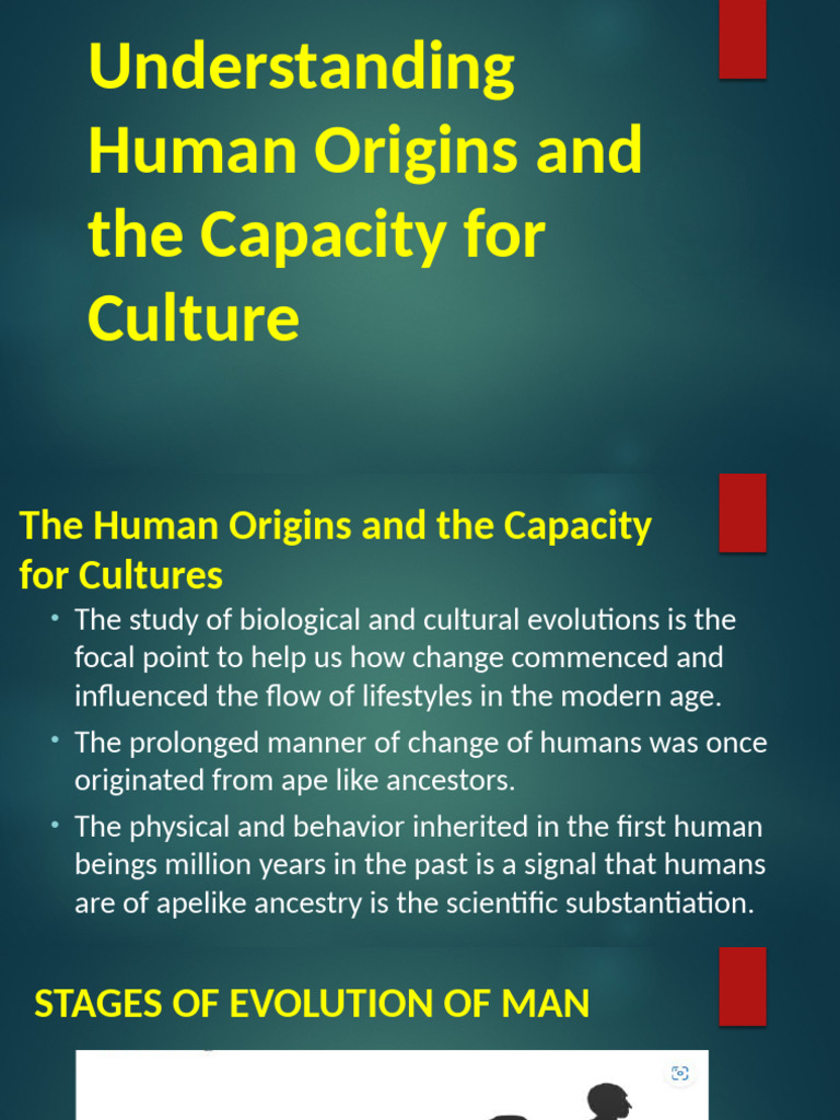 Human Evolution and Cultural Capacity | PDF | Homo | Human Evolution