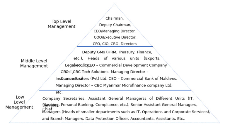 Types of Management Levels at Commercial BAnk of Ceylon | PDF