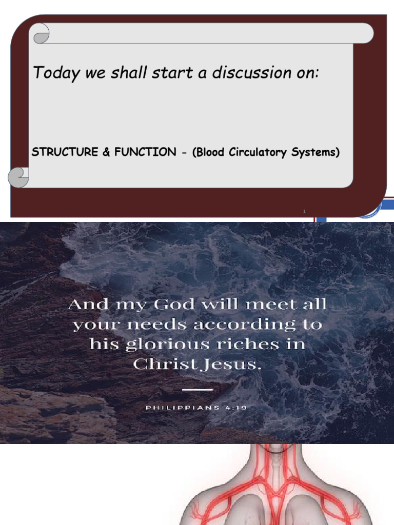 STRUCTURE &FUNCTION - (Blood Circulatory Systems) | PDF