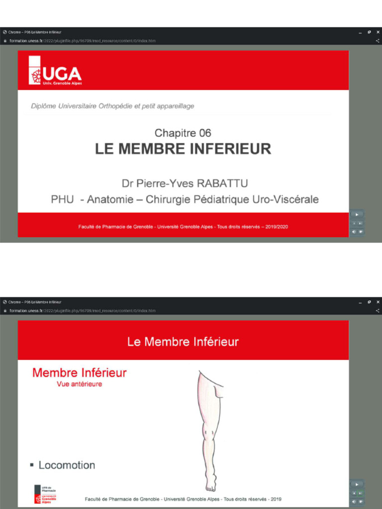 Anatomie Du Membre Inférieur | PDF