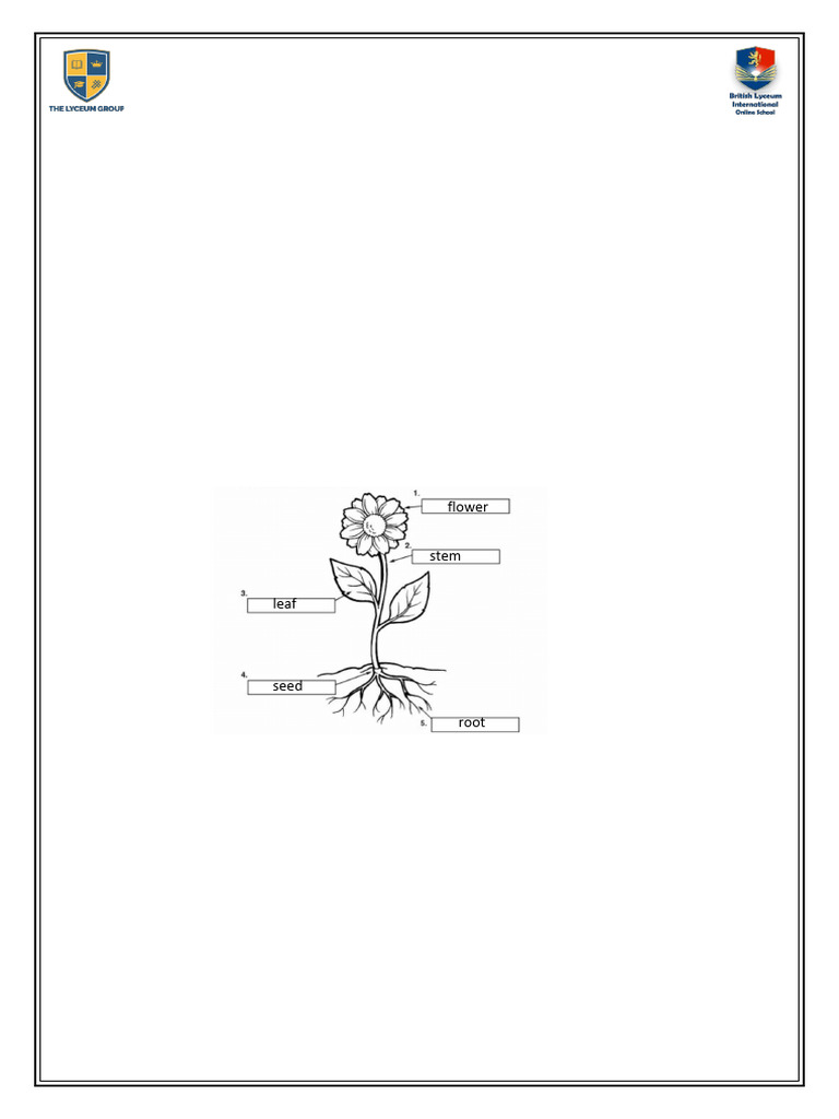 LB. Unit 1 - Living Things | PDF