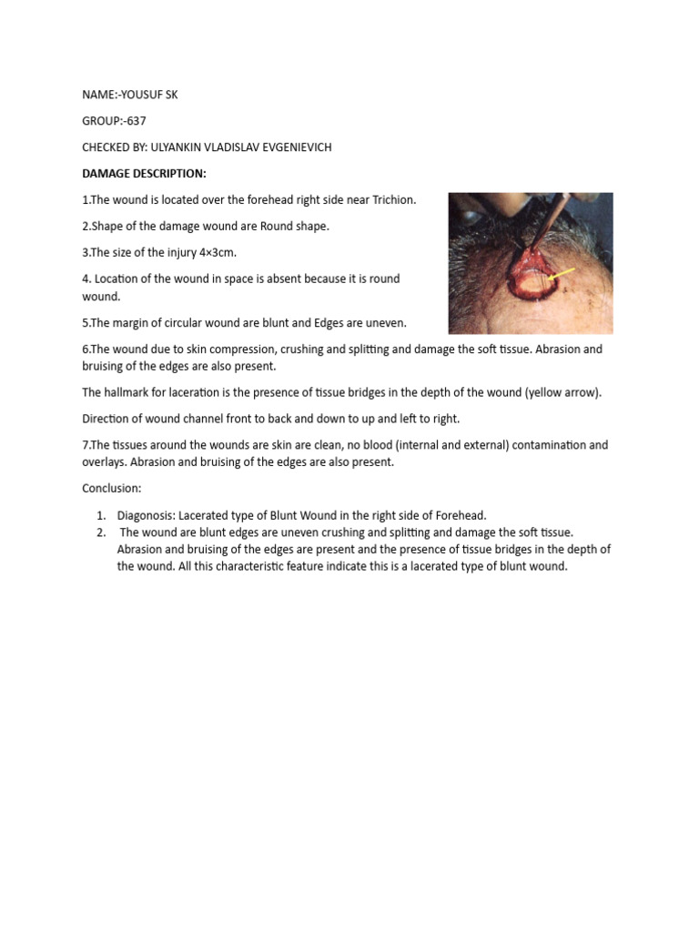 Forensic Description Blunt Wound | PDF