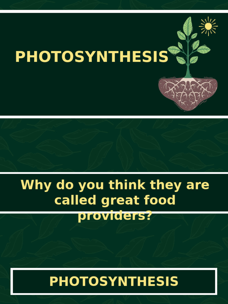 The Basics of Photosynthesis in Plants Educational Presentation in ...
