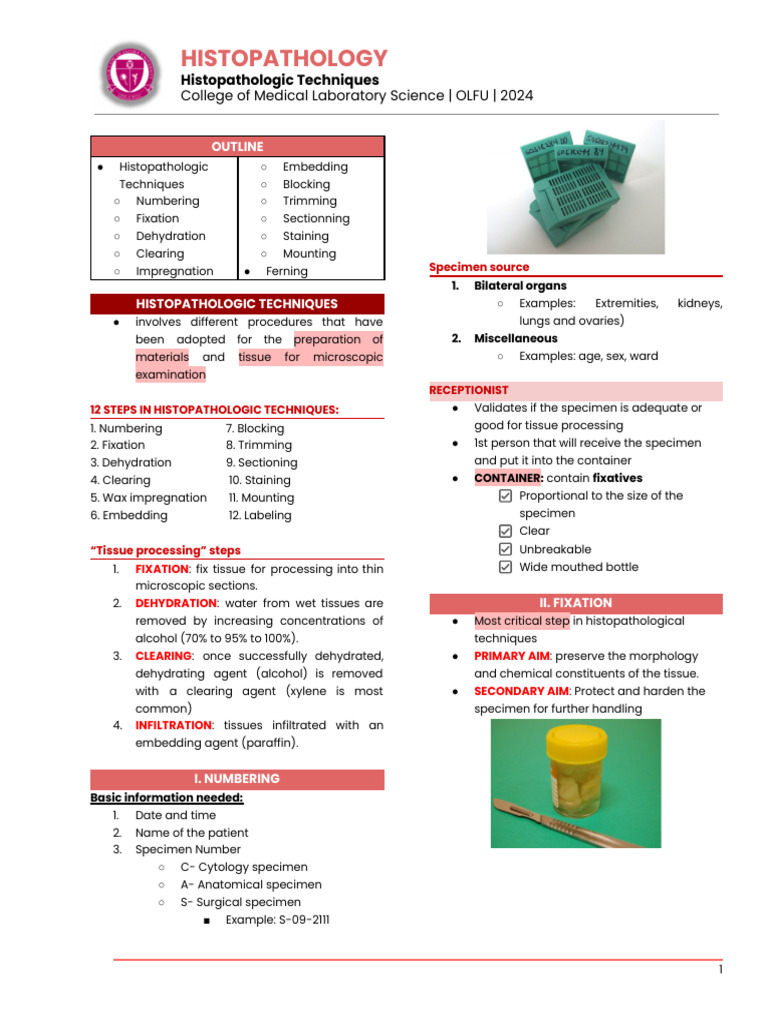 Histopathology Techniques Guide | PDF | Histopathology | Science ...