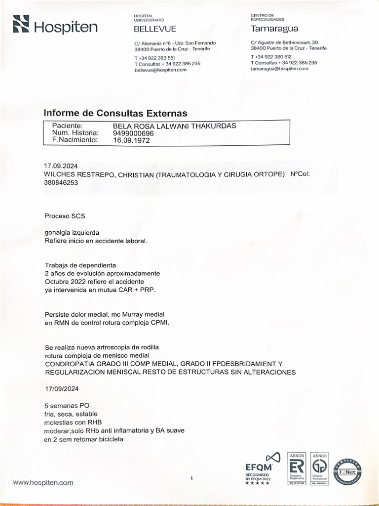 PDF Informe 17:09:2024 | PDF