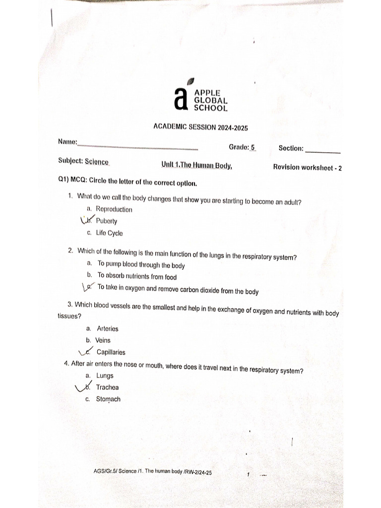 Class 5 CH 1 Human Body 2 | PDF