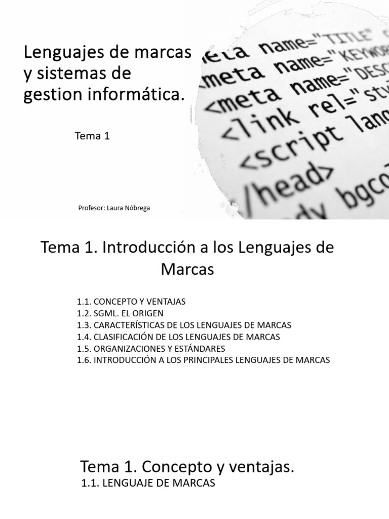 LMSG Tema1 | PDF