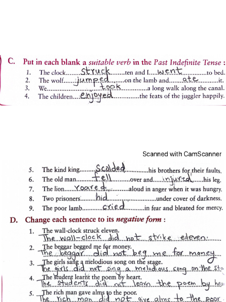 G7 Grammar Book Chapter 8 | PDF