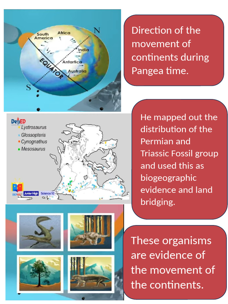 Pangea: Fossil Evidence of Continental Movement | PDF