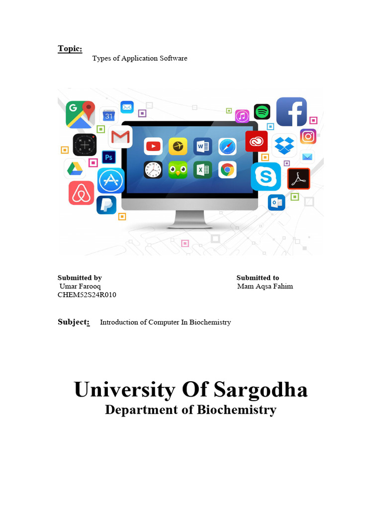 Application Software Assignment | PDF