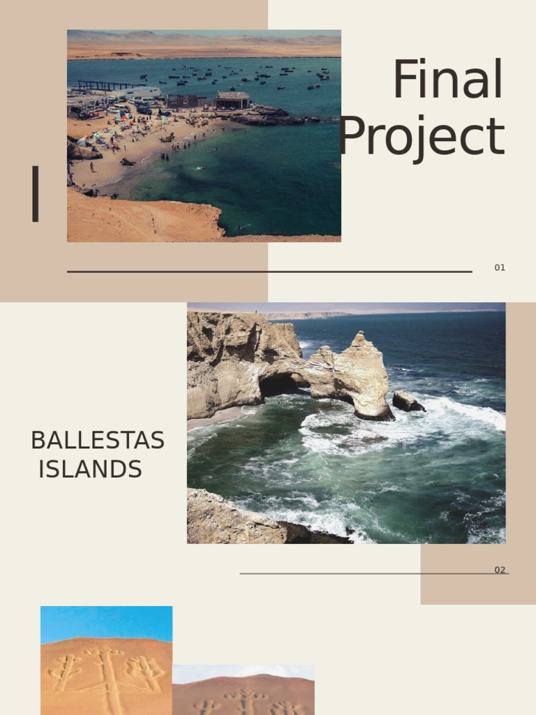 Final Project 1 | PDF