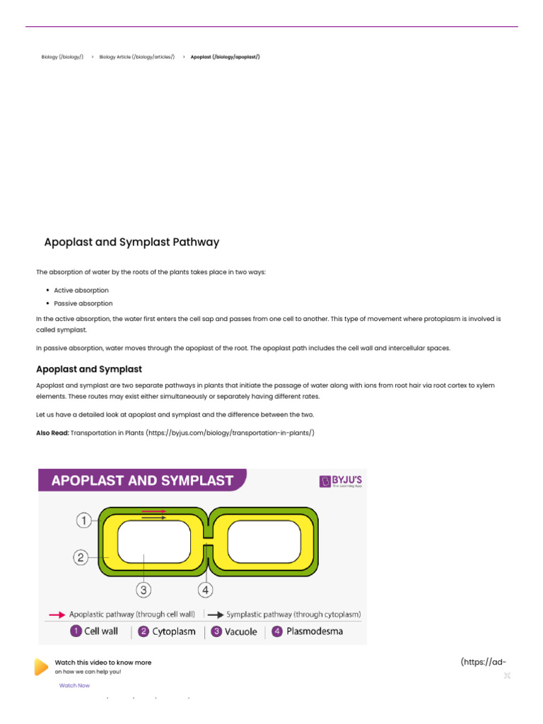 Differences Between Apoplast and Symplast Pathway | PDF