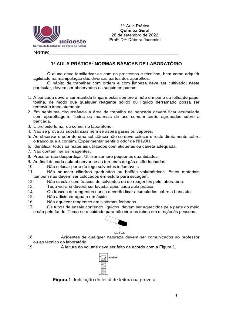 1a. Aula Prática | PDF