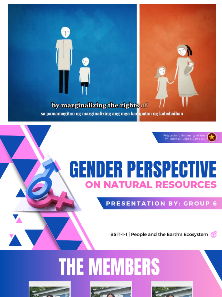 Gender Perspective | PDF