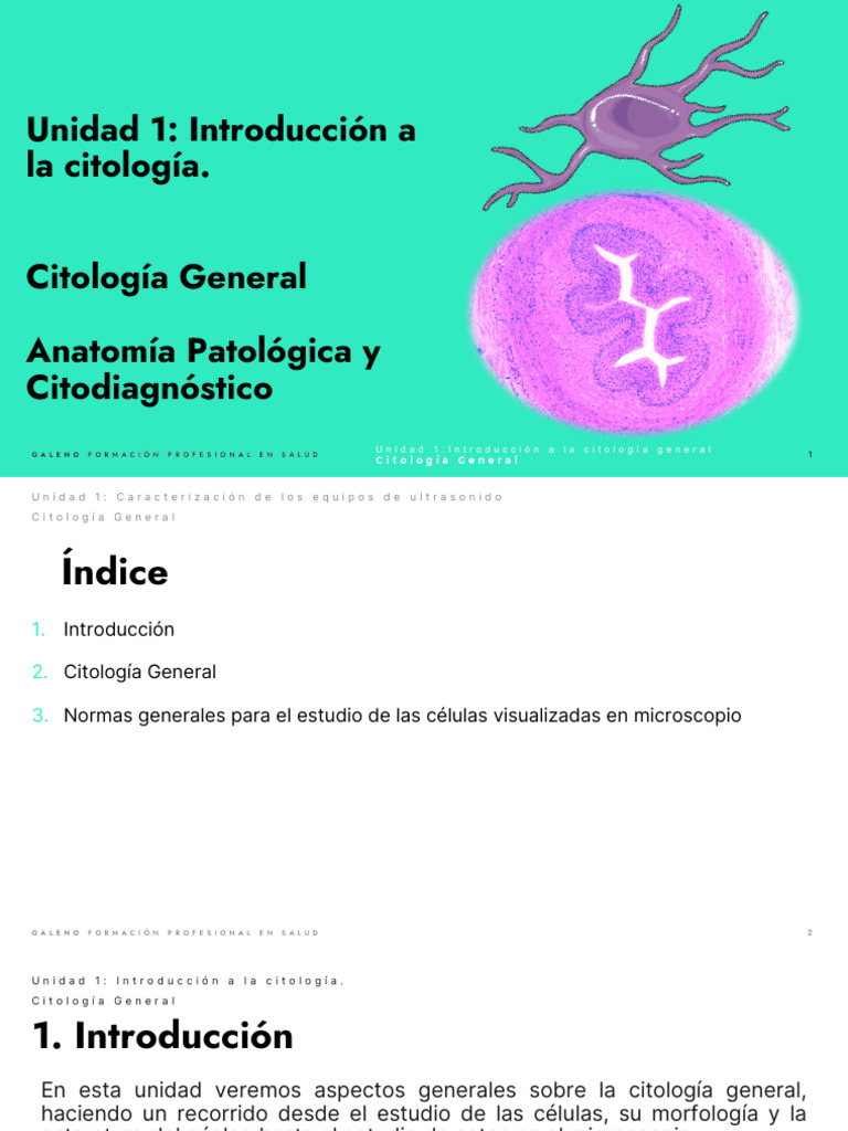Tema 1 Cito 23-24 | PDF Tema 1 Cito 23-24 | PDF