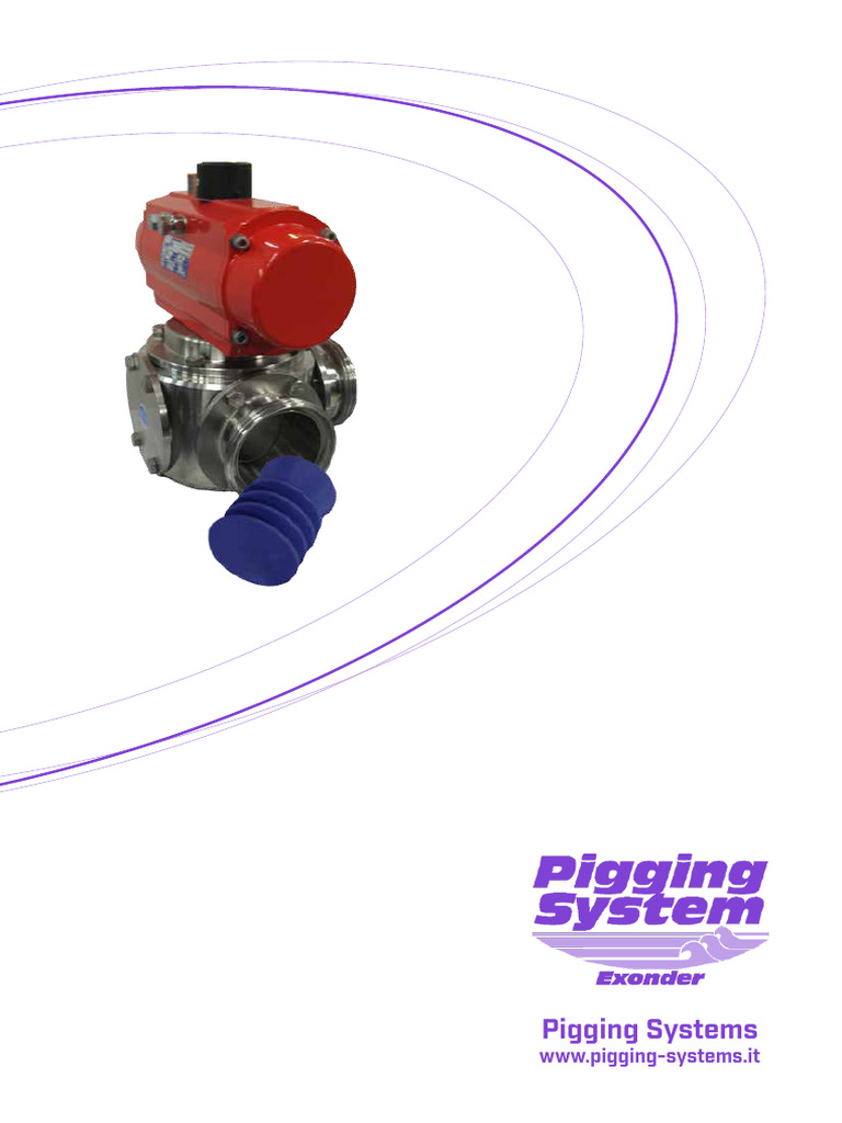 Pigging Industriale | PDF