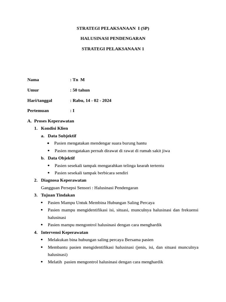 Strategi Pelaksanaan Halusinasi 1 | PDF