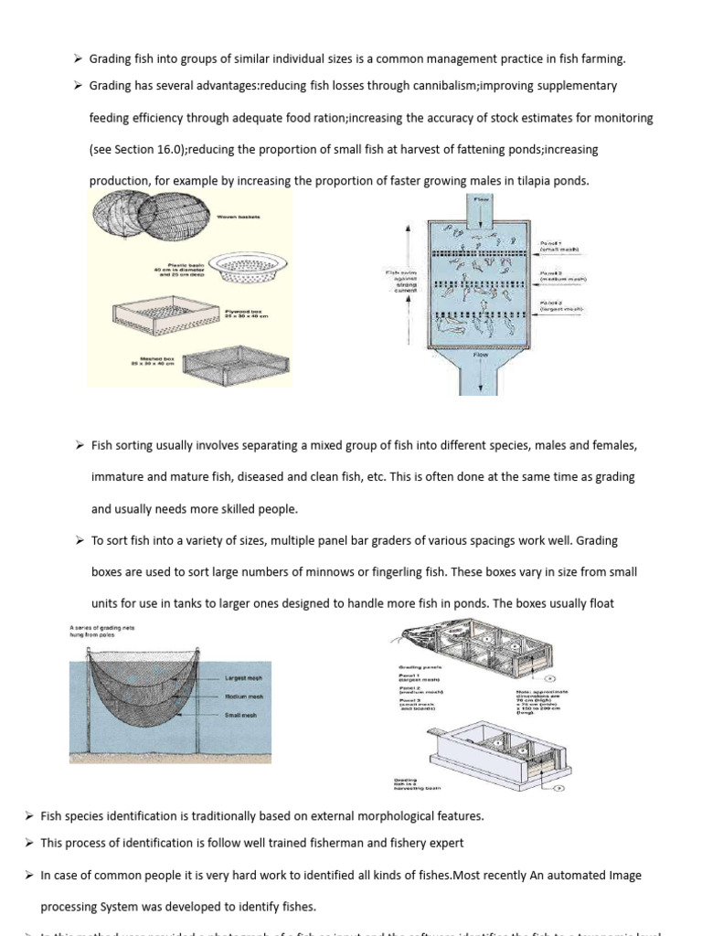 Fishes | PDF