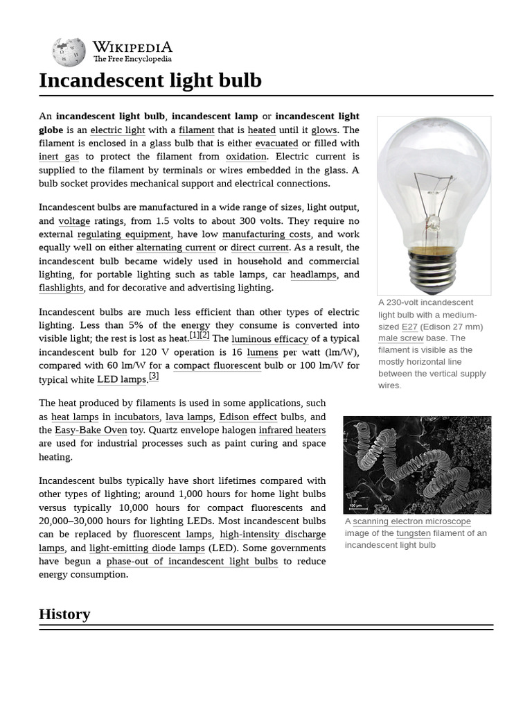 Incandescent Light Bulb | PDF