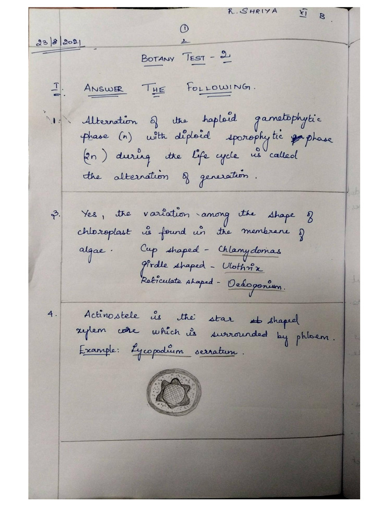 R.shriya Xi B Bio-Botany Test 2 | PDF