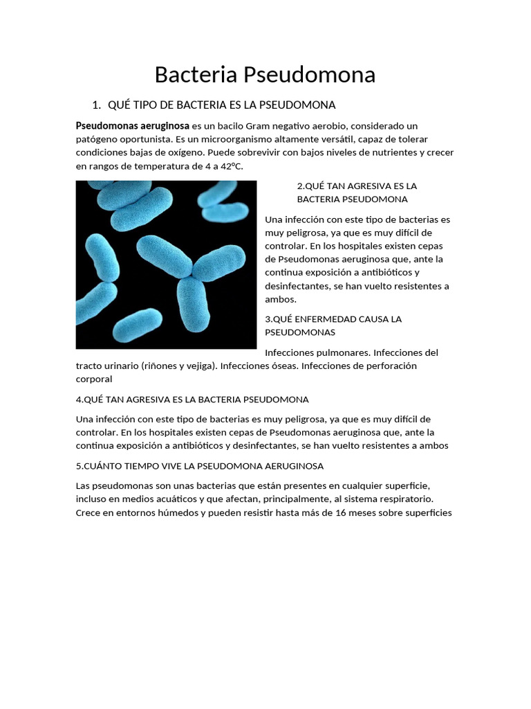 Bacteria Pseudomona | PDF