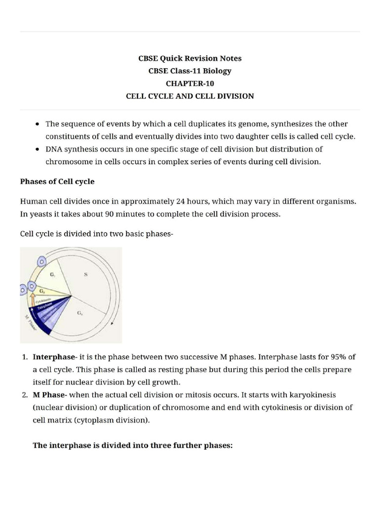 Cell Cycle | PDF