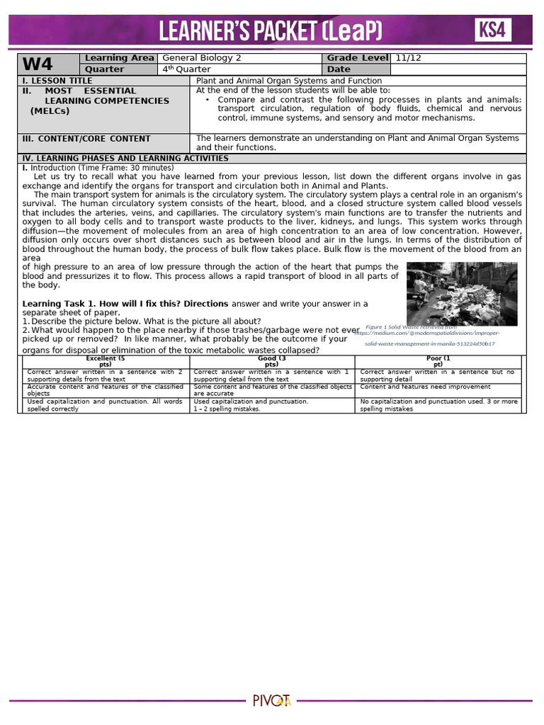 Q4 STEM General Biology 2 Week 4 1 | PDF