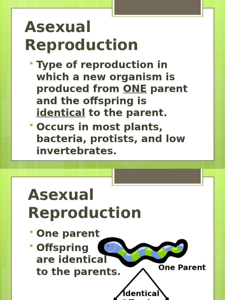 Asexual and Sexual Reproduction | PDF