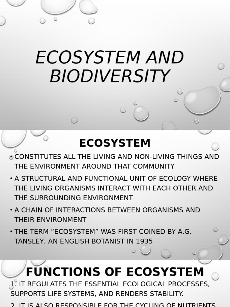 Ecosystems and Biodiversity Group 2 | PDF
