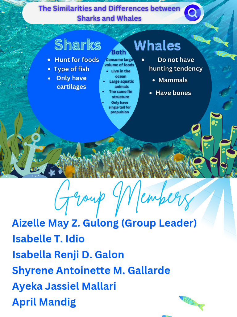 The Similarities and Differences Between Sharks and Whales | PDF
