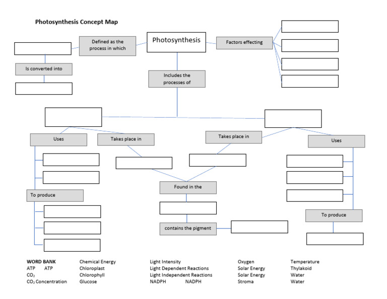 Photosynthesis Concept Map | PDF