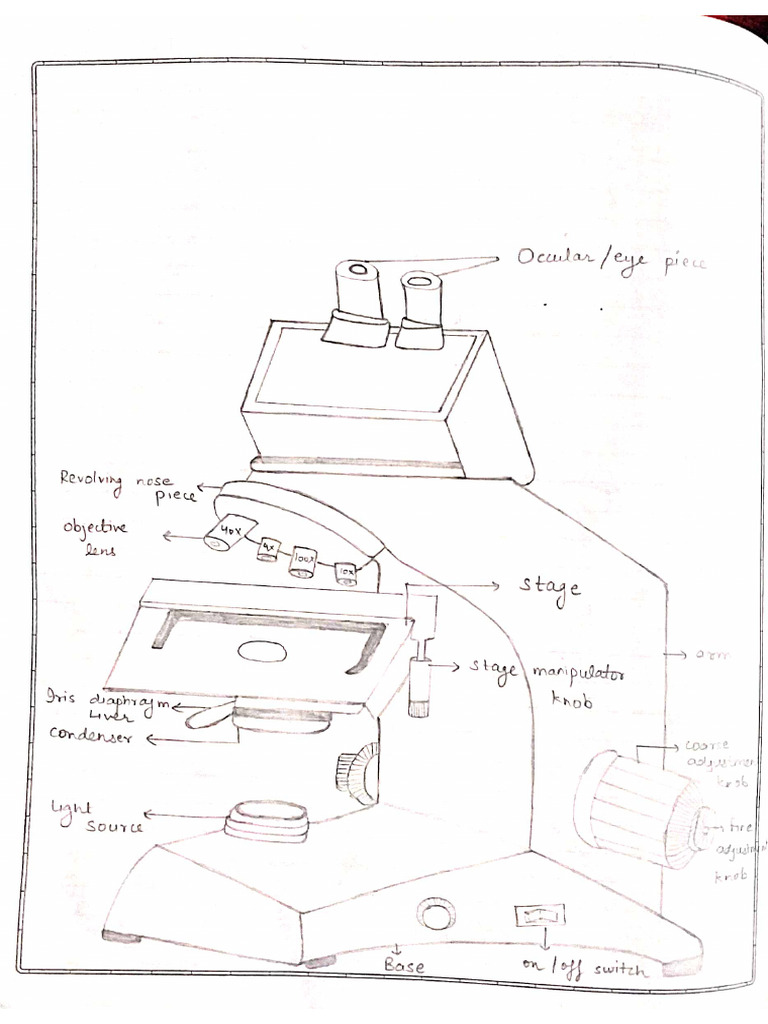 Micro Prac File | PDF