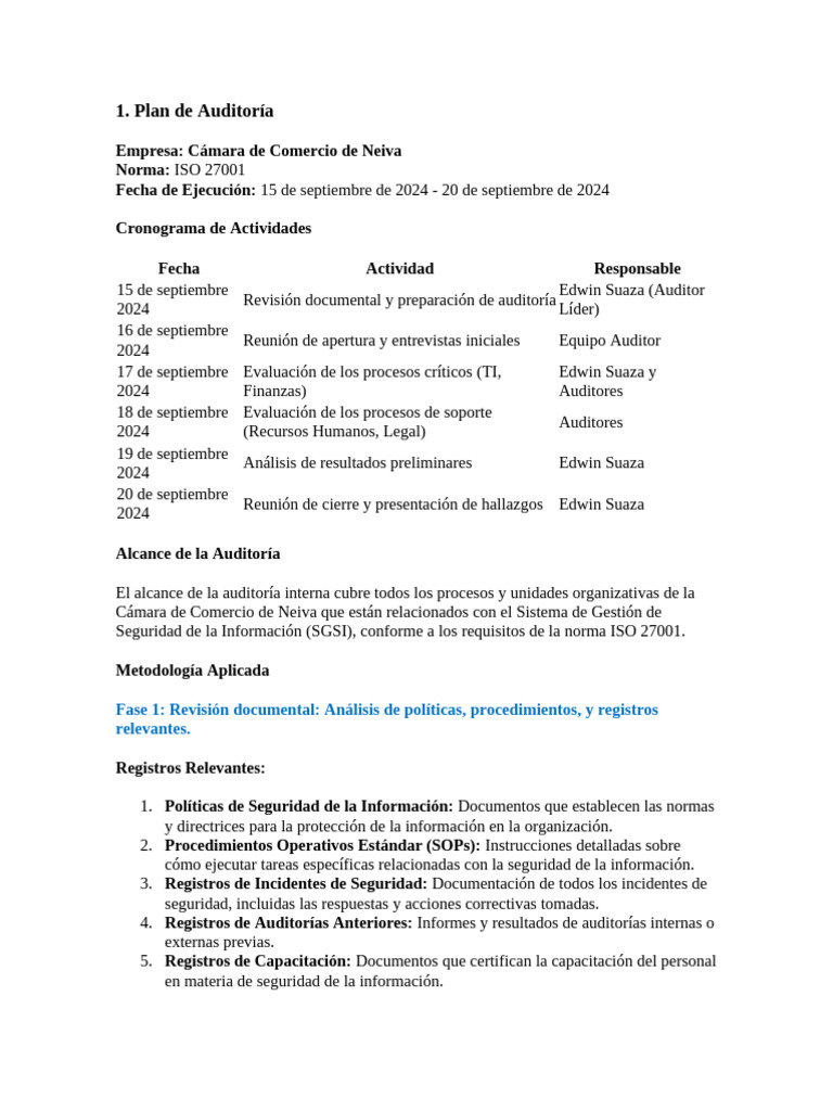Plan Auditoria 2024 | PDF