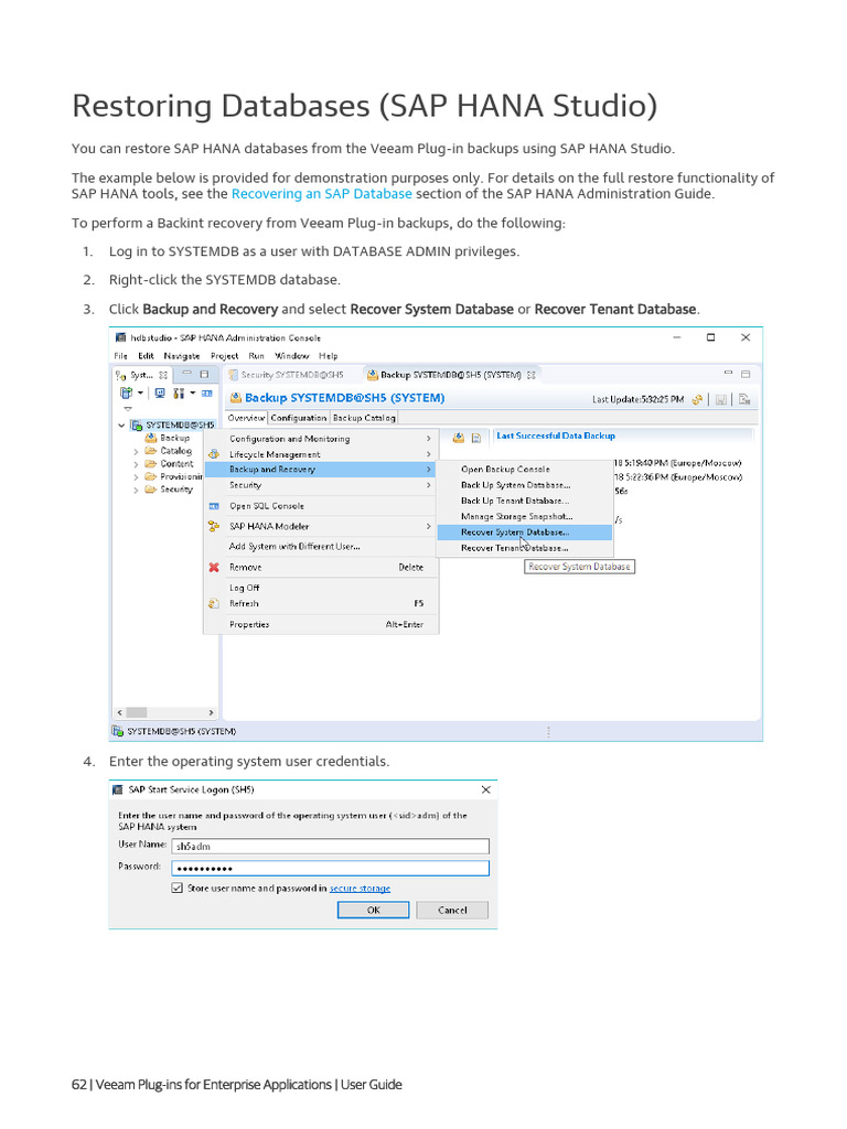 HANA DB Recovery | PDF
