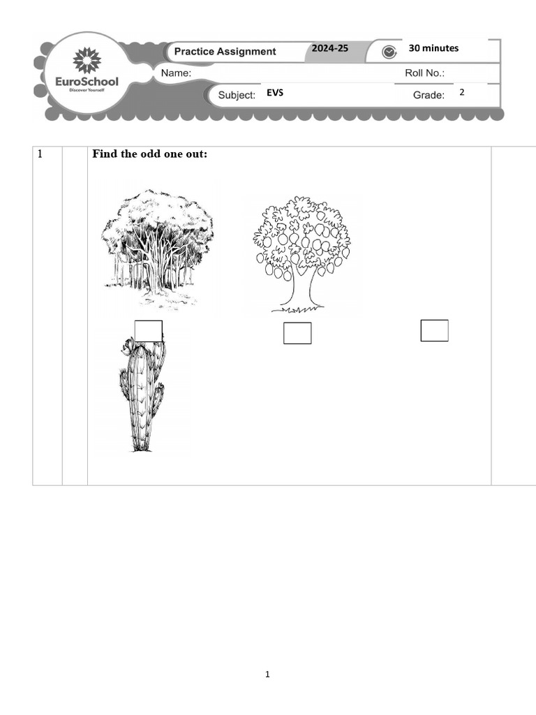 Prim EVS AY24-25 Practice Paper1 (Gr2) - 2 | PDF