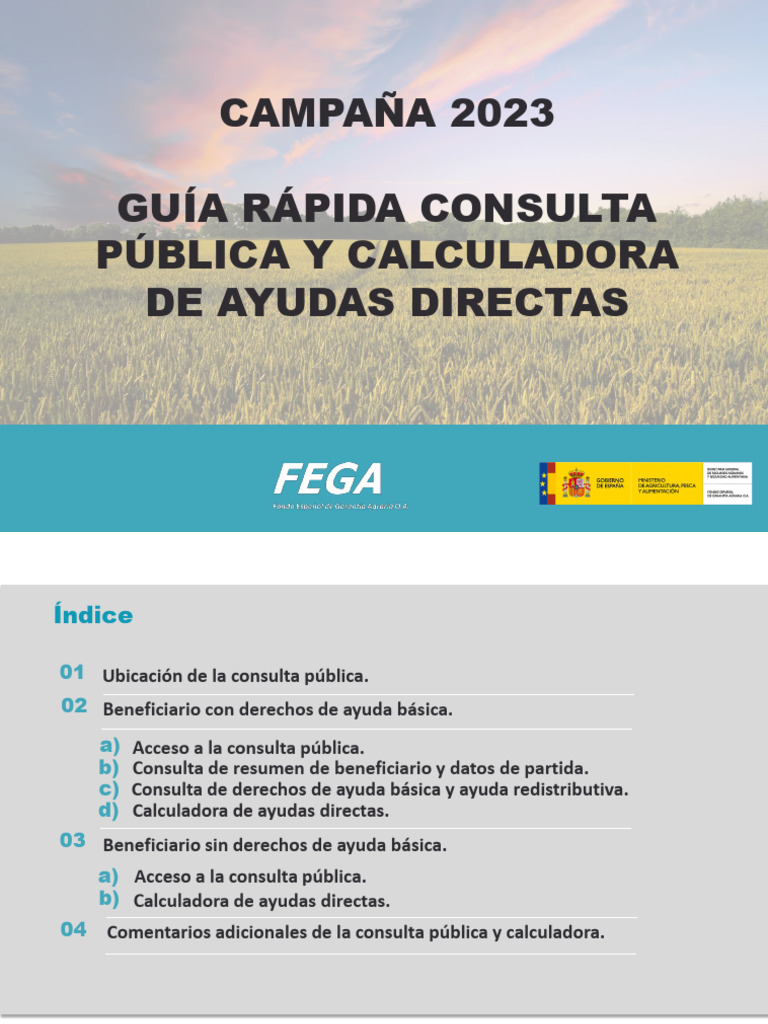 AD BdcGab IAS ManualUsuario JUL24 | PDF | Información