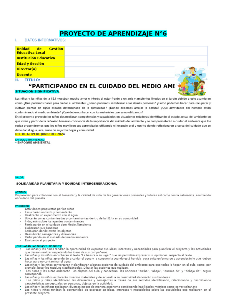 PROYECTO DE APRENDIZAJE N° 6 JUNIO 2024 | PDF