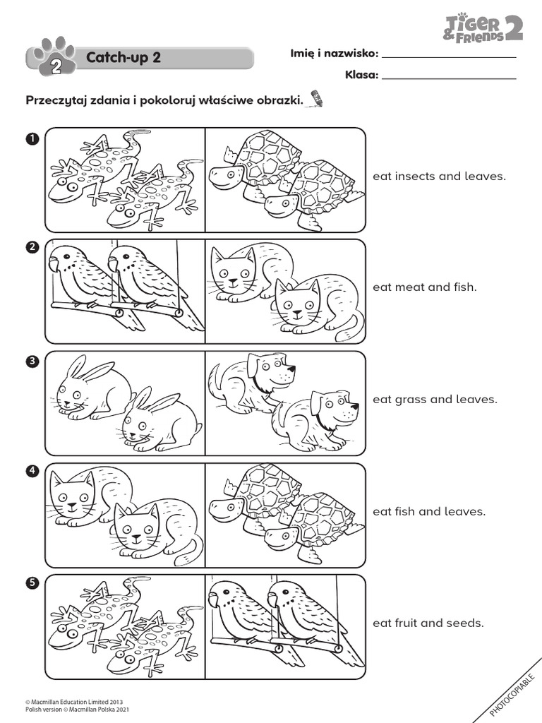 Tiger&Friends 2 - TRF - Unit 2 - Catch-Up 2 | PDF