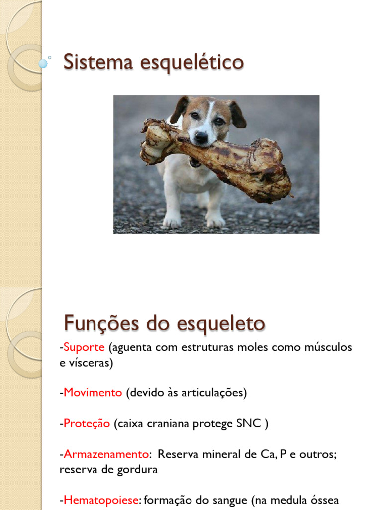 2-esqueleto | PDF