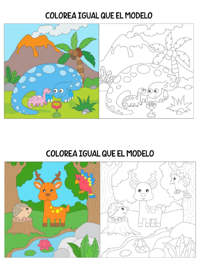 Coloreal Horizontal | PDF