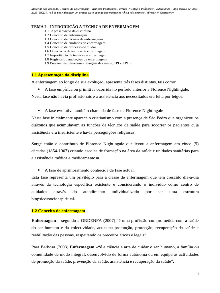 Téc Enf - 2024-2025-Pitágoras | PDF