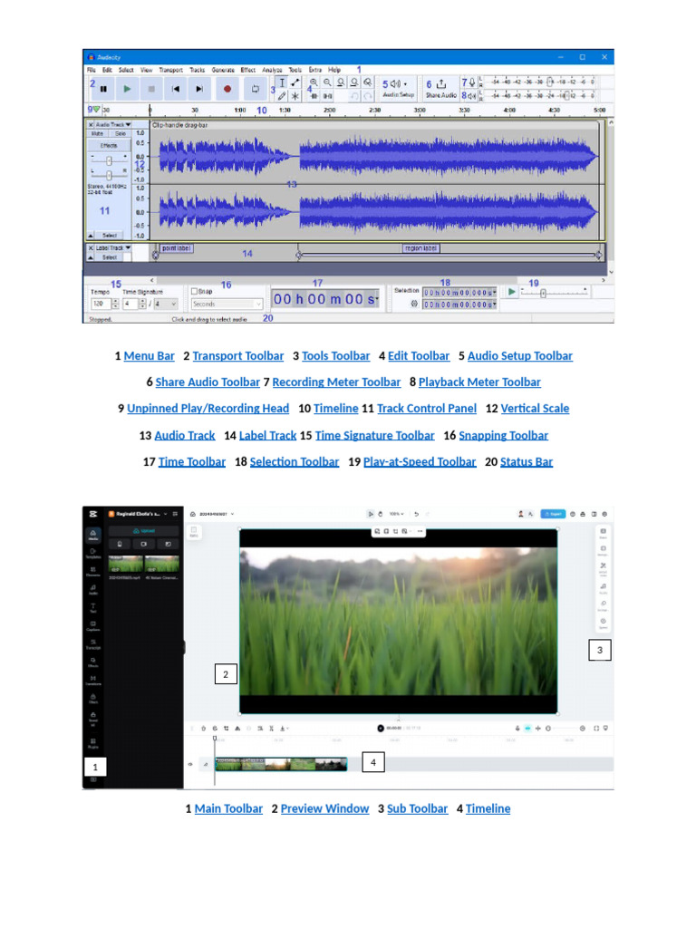 Audacity & Capcut | PDF