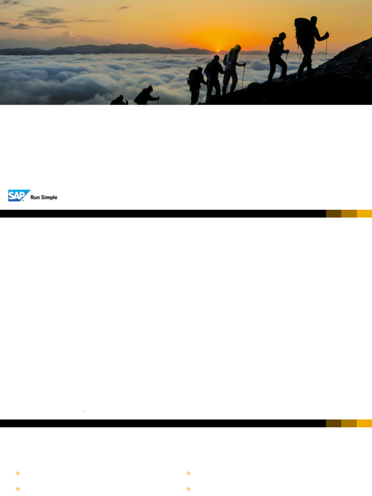 SAP IBP Webinar Customer Onboarding April 2019 | PDF
